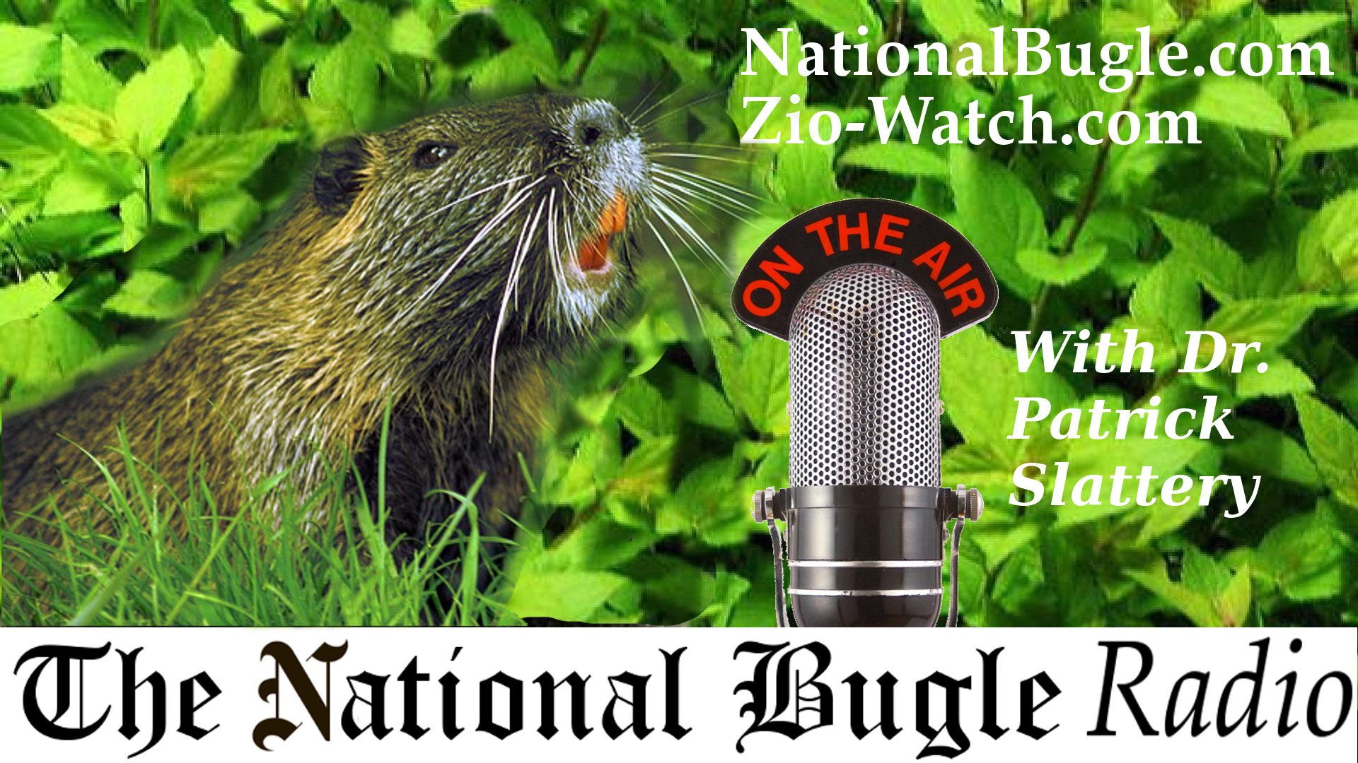 Tom Kawczynski on Alt-Right activism, economically dominant minorities ...